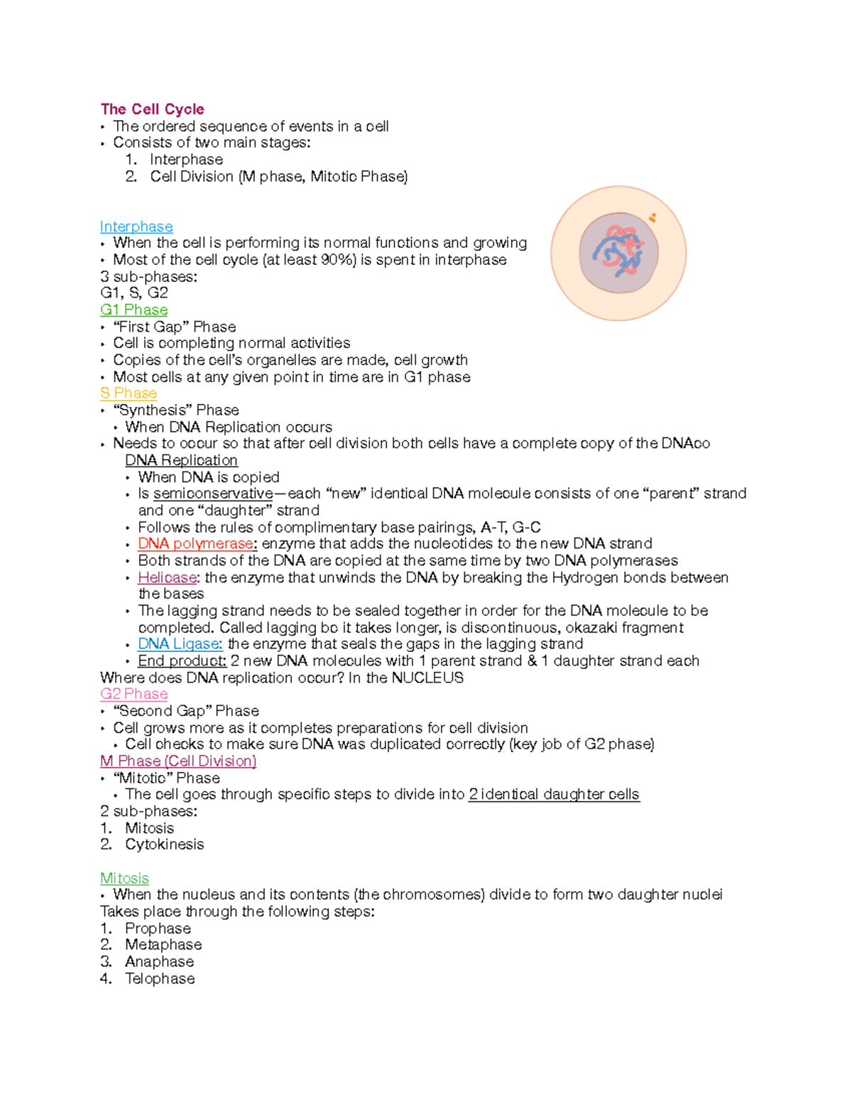 9:26 Cell Cycle, DNA replication, mitosis - The Cell Cycle The ordered ...