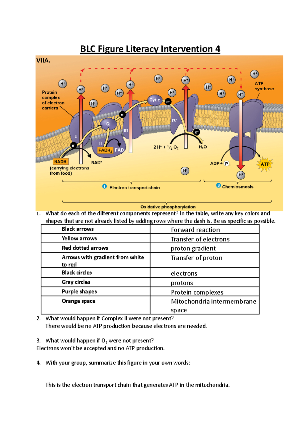 BLC Figure Literacy Intervention 4 - 1. What do each of the different ...