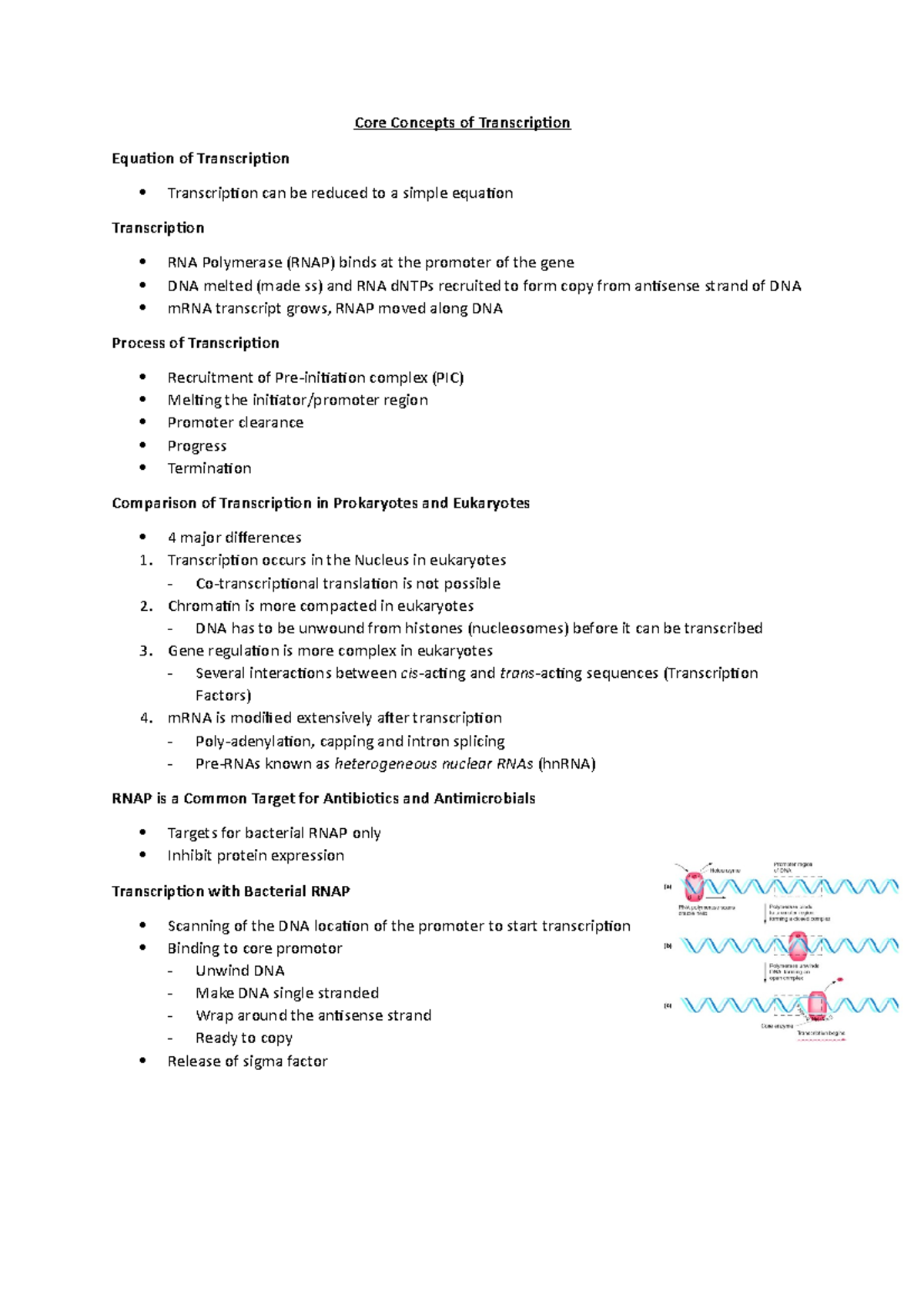 Core Concepts of Transcription - Core Concepts of Transcription ...