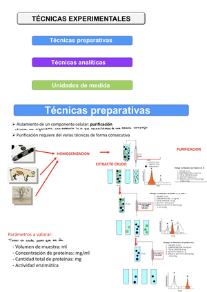 Técnicas Experimentales - Bioquímica 1 - Studocu