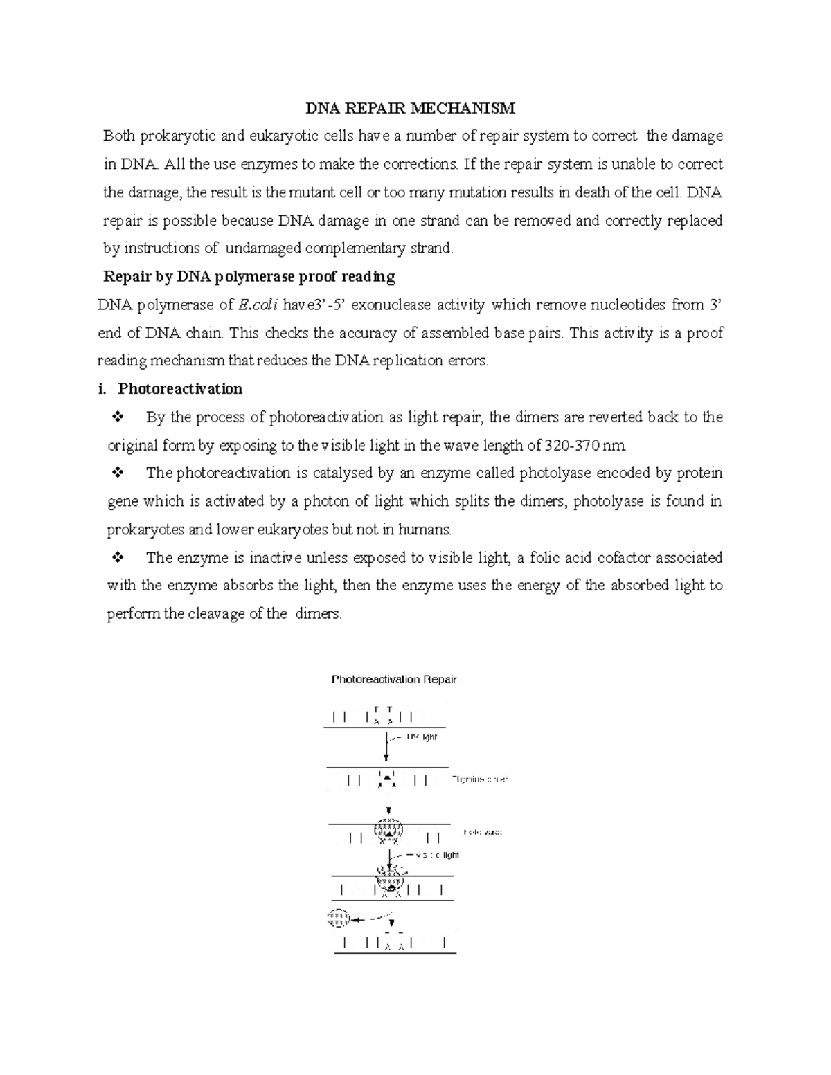 Mutation AND TYPES - DNA REPAIR MECHANISM Both prokaryotic and ...