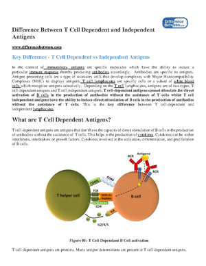 Air-sampling-methods - AIR SAMPLING METHODS Methods of Air Sampling The ...