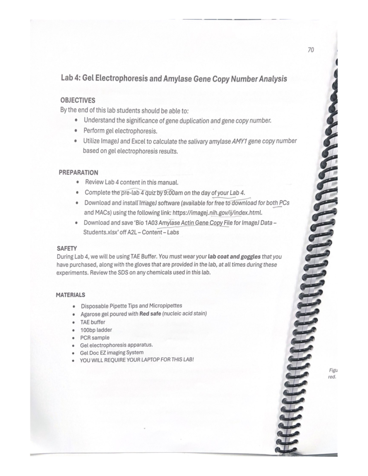 Lab 4 Gel Electrophoresis and Amylase Gene Copy Number Analysis ...