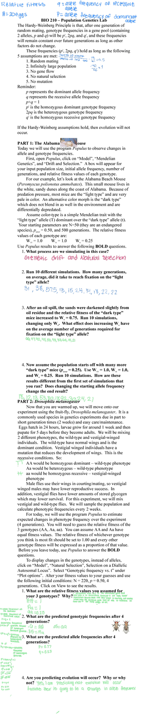 Isopod lab spring 2022 - lab for ecology proffesor raia - BIO 210 - Studocu