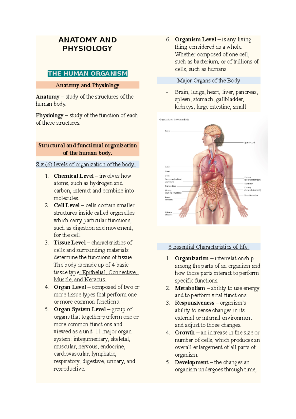 Anatomy AND Physiology - ANATOMY AND PHYSIOLOGY THE HUMAN ORGANISM ...