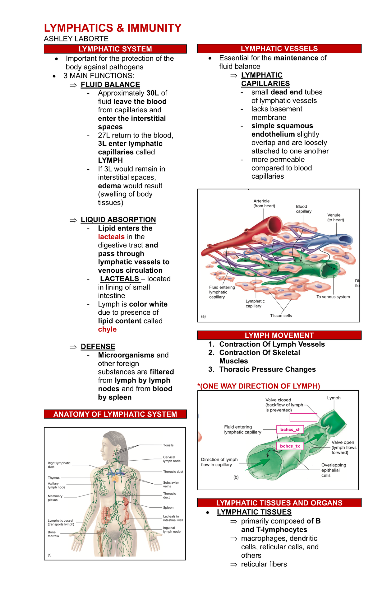 Lymphatic System - ASHLEY LABORTE Important for the protection of the ...