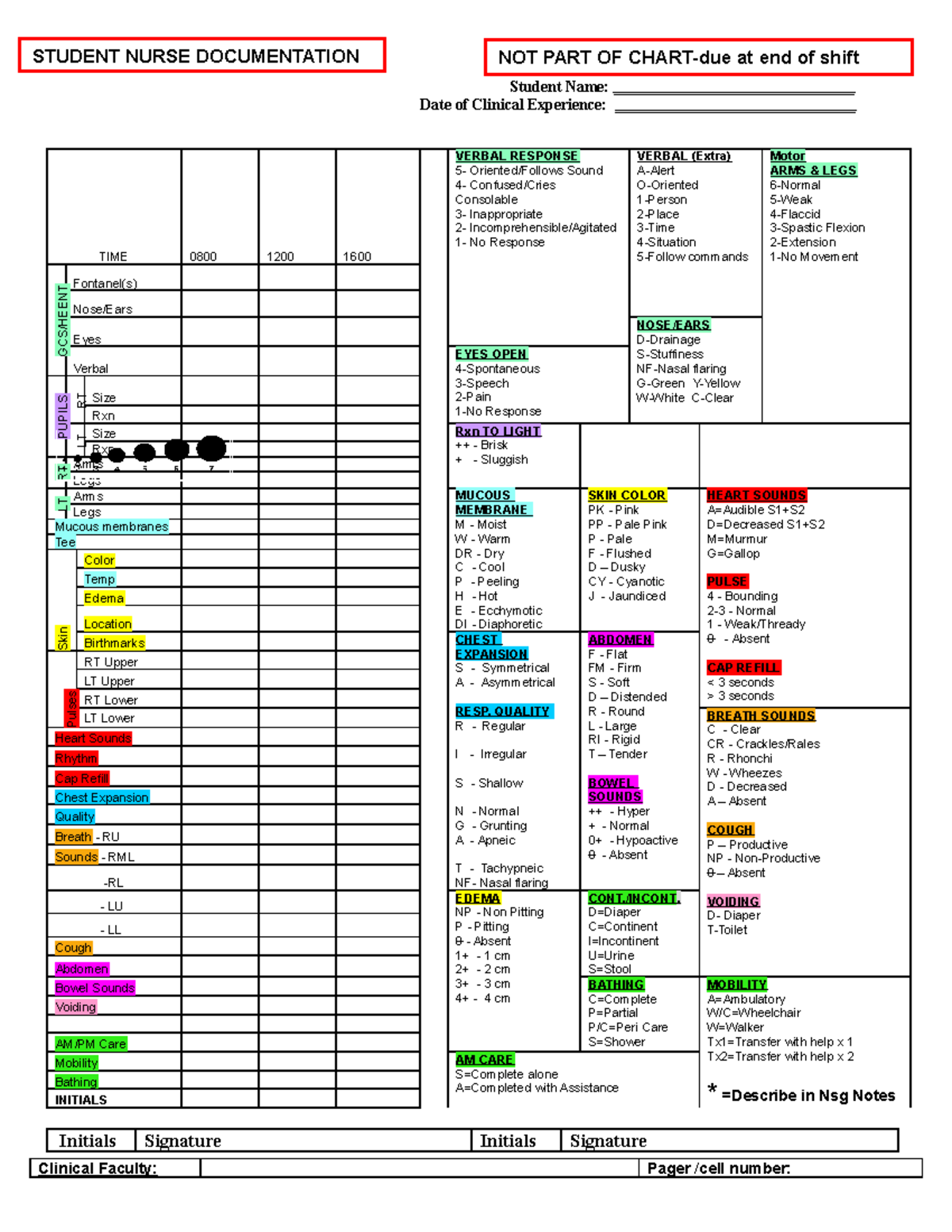 Daily Patient Charting Assessment Form-Peds - STUDENT NURSE ...