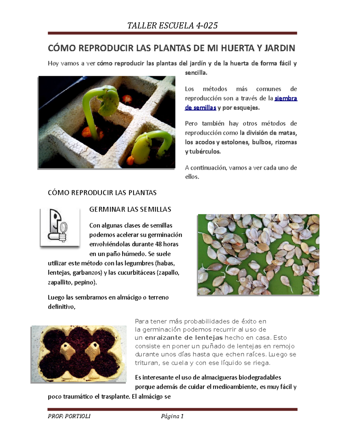 CÓMO Reproducir LAS Plantas - CÓMO REPRODUCIR LAS PLANTAS DE MI HUERTA ...