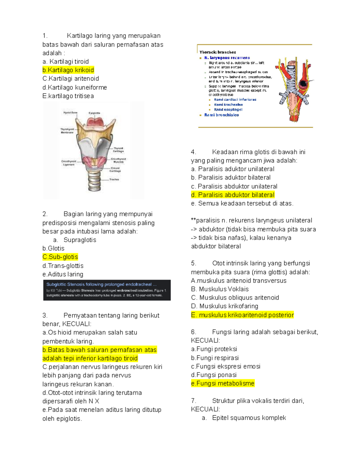 Lalalayeyeye - Ppp - Kartilago laring yang merupakan batas bawah dari ...