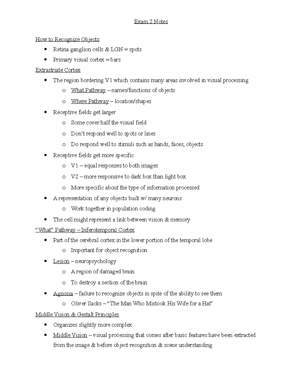 Exam 2 Notes - light, the eye, and color - How to Recognize Objects ...