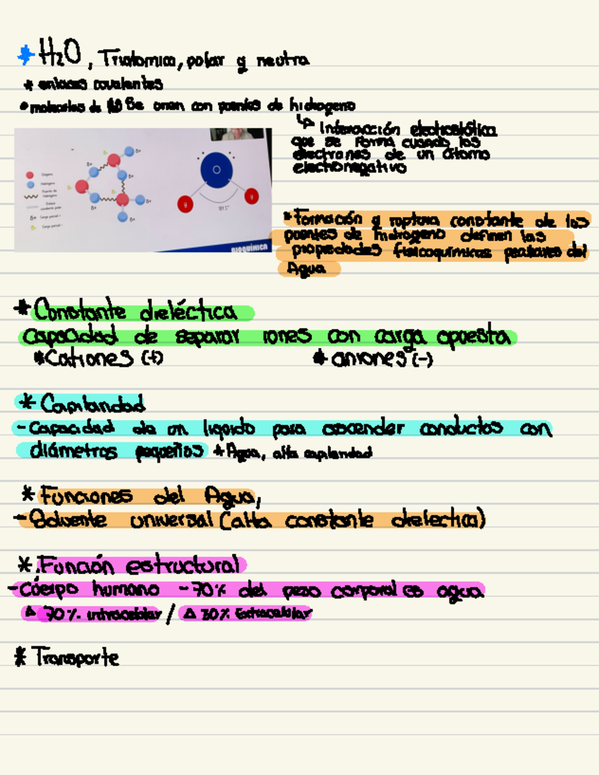 Bioquímica - Apuntes resumidos de Bioca - HeO , Triatómica, polar y ...