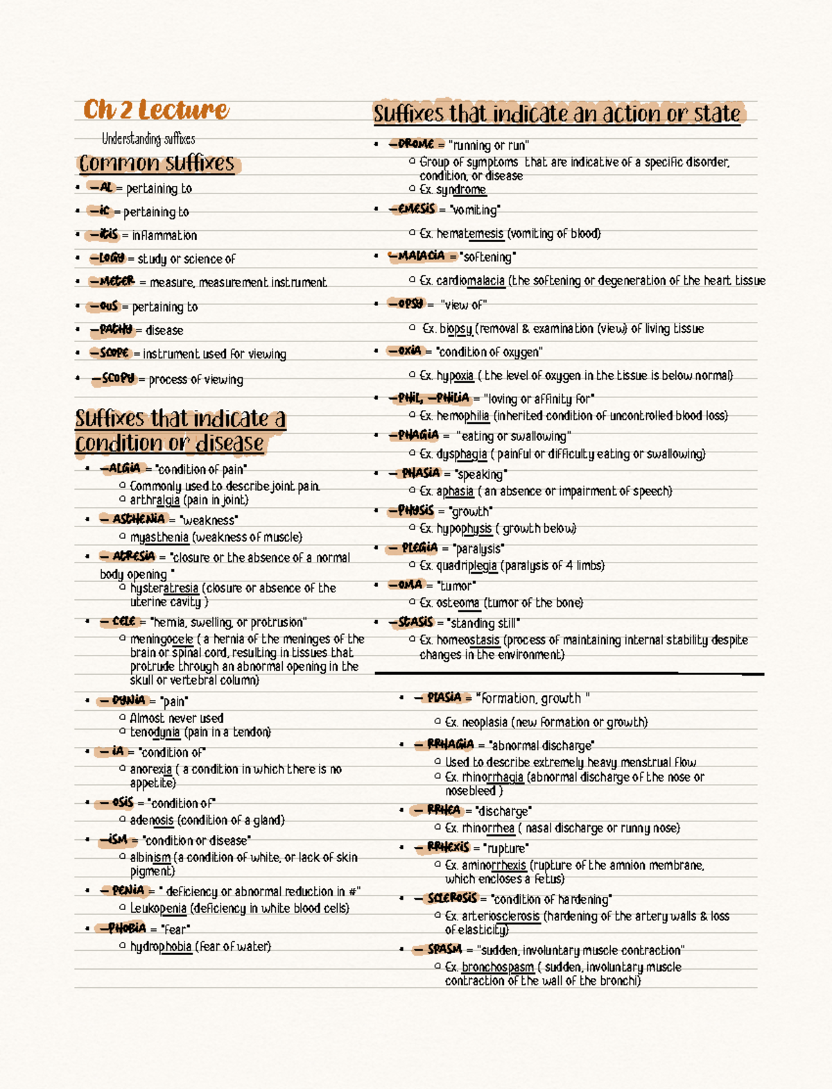 Ch 2 Lecture - Ch 2 Lecture Understanding suffixes Common suffixes -al = pertaining to -ic ...