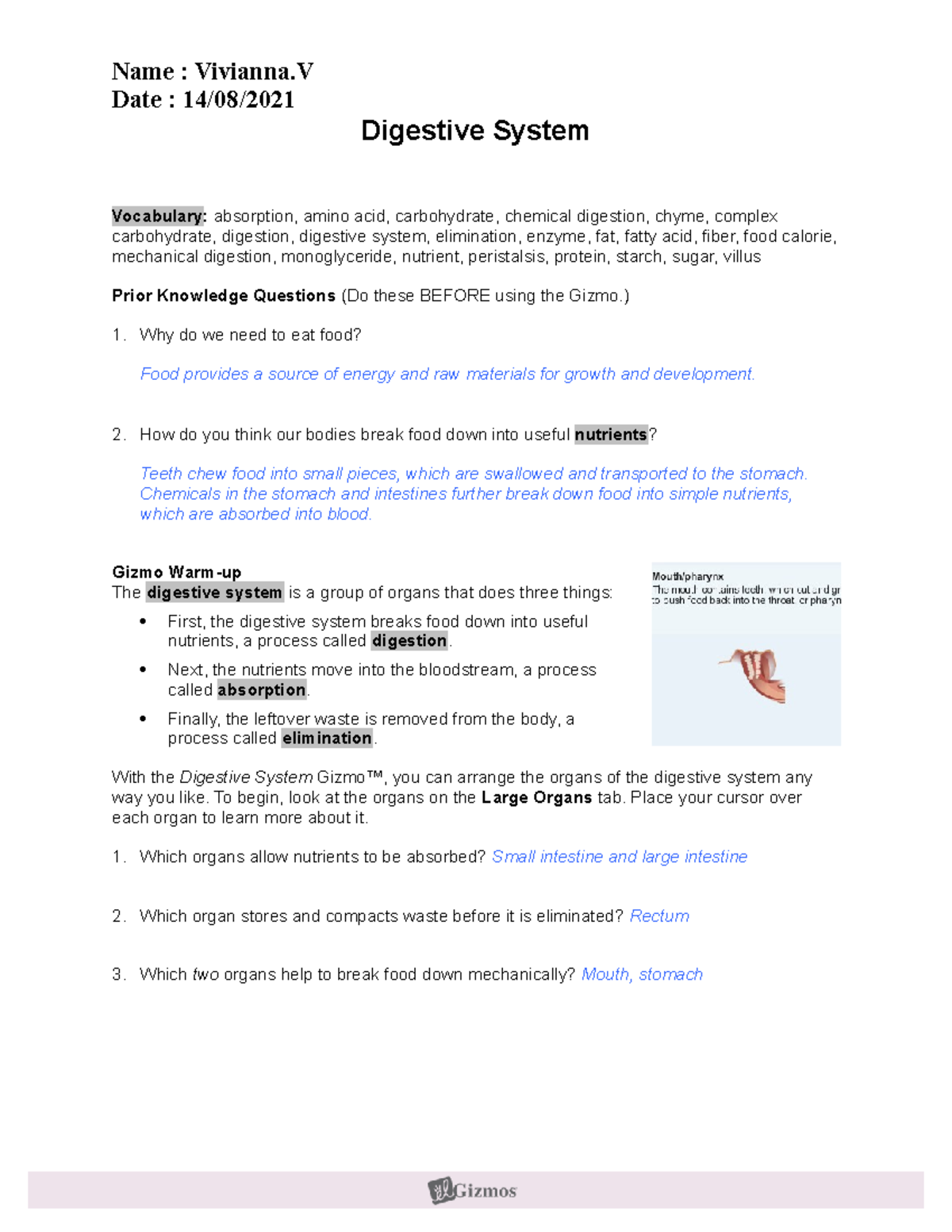 10 - Digestive System Gizmo answers - Psychology Of Adjustment:Part I ...