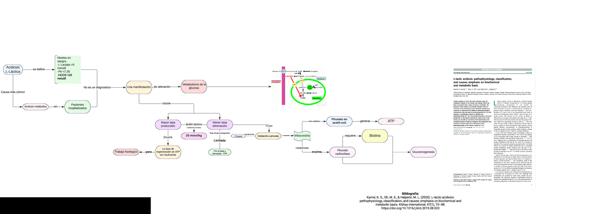 Acidosis lactica - Acidosis L-Láctica se define Niveles en sangre. -L ...
