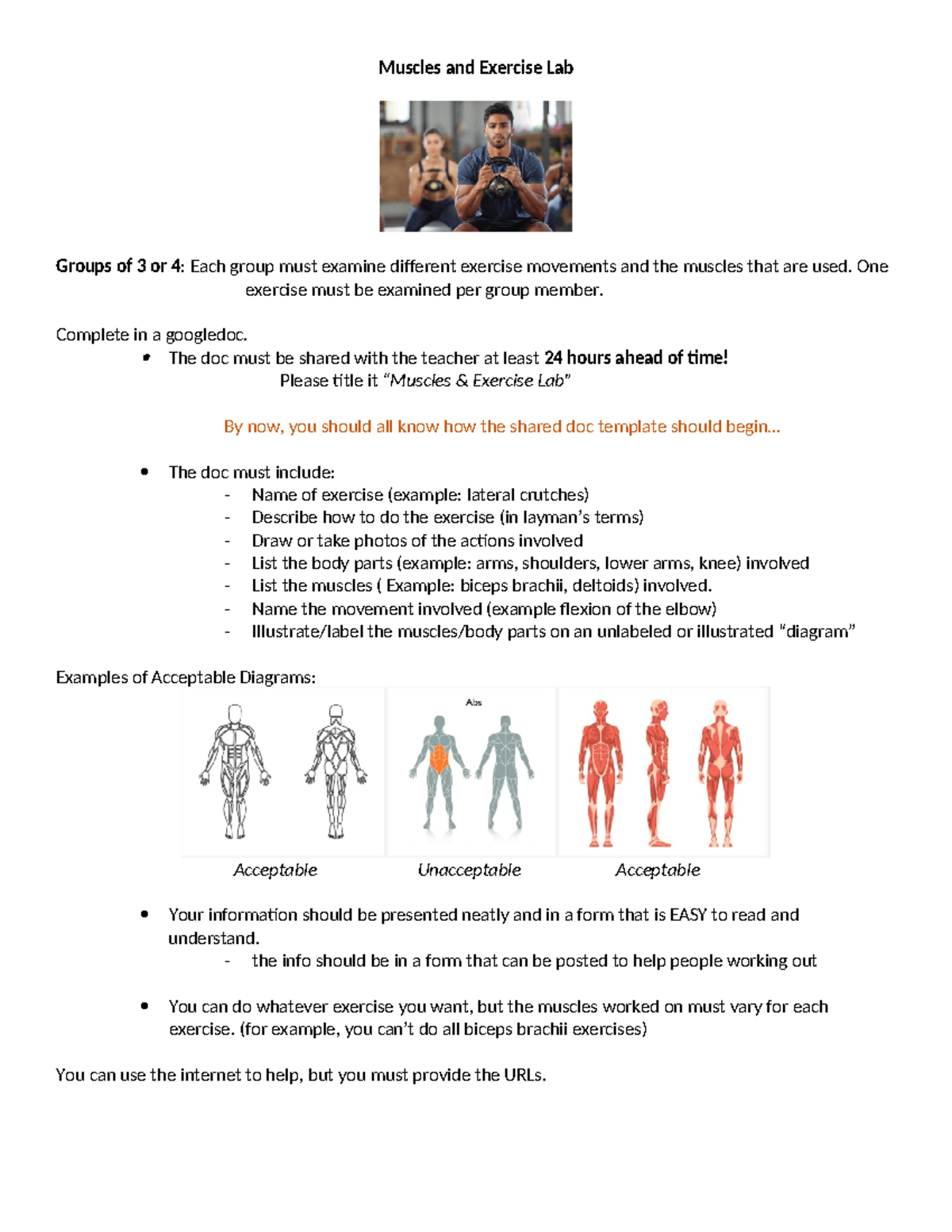 Muscles and Exercise Lab 23 - Muscles and Exercise Lab Groups of 3 or 4 ...
