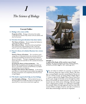 Chapter 3 Biology - ####### 35 3 The Chemical Building Blocks of Life ...