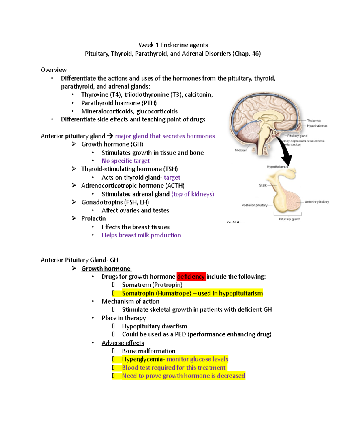 Week 1 Endocrine agents Pituitary, Thyroid, Parathyroid, and Adrenal ...