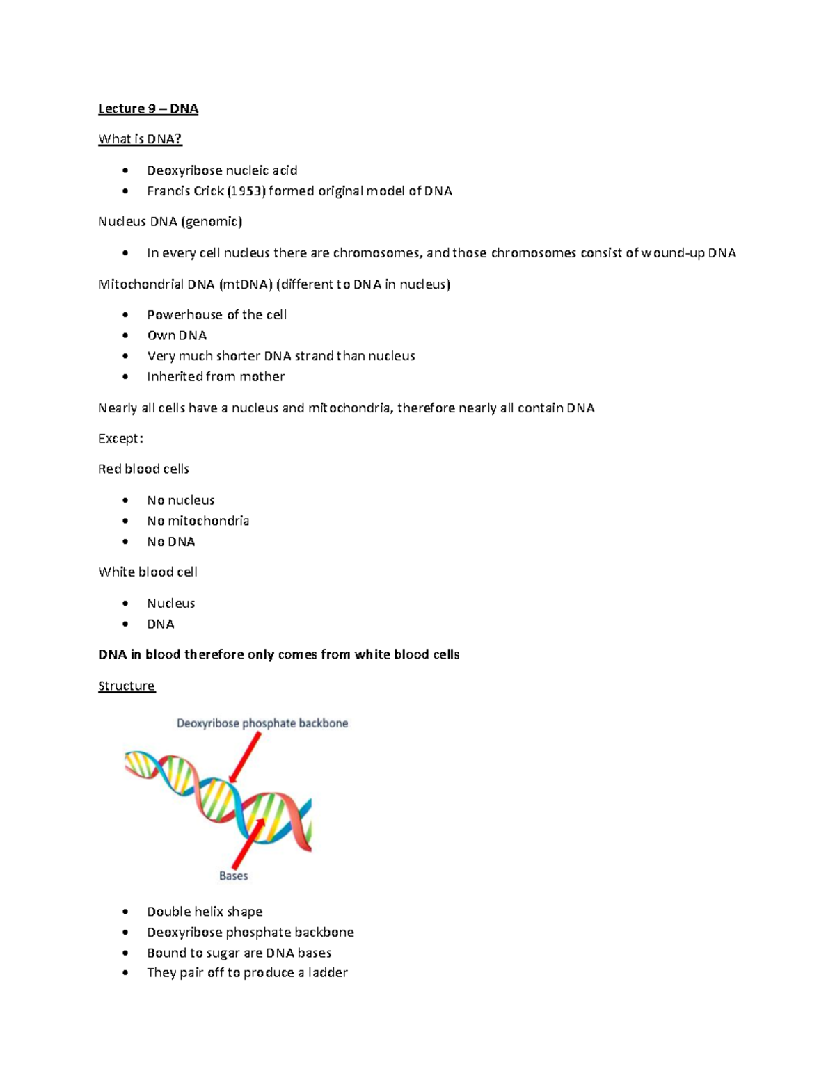 DNA - notes - Lecture 9 – DNA What is DNA? - Deoxyribose nucleic acid ...
