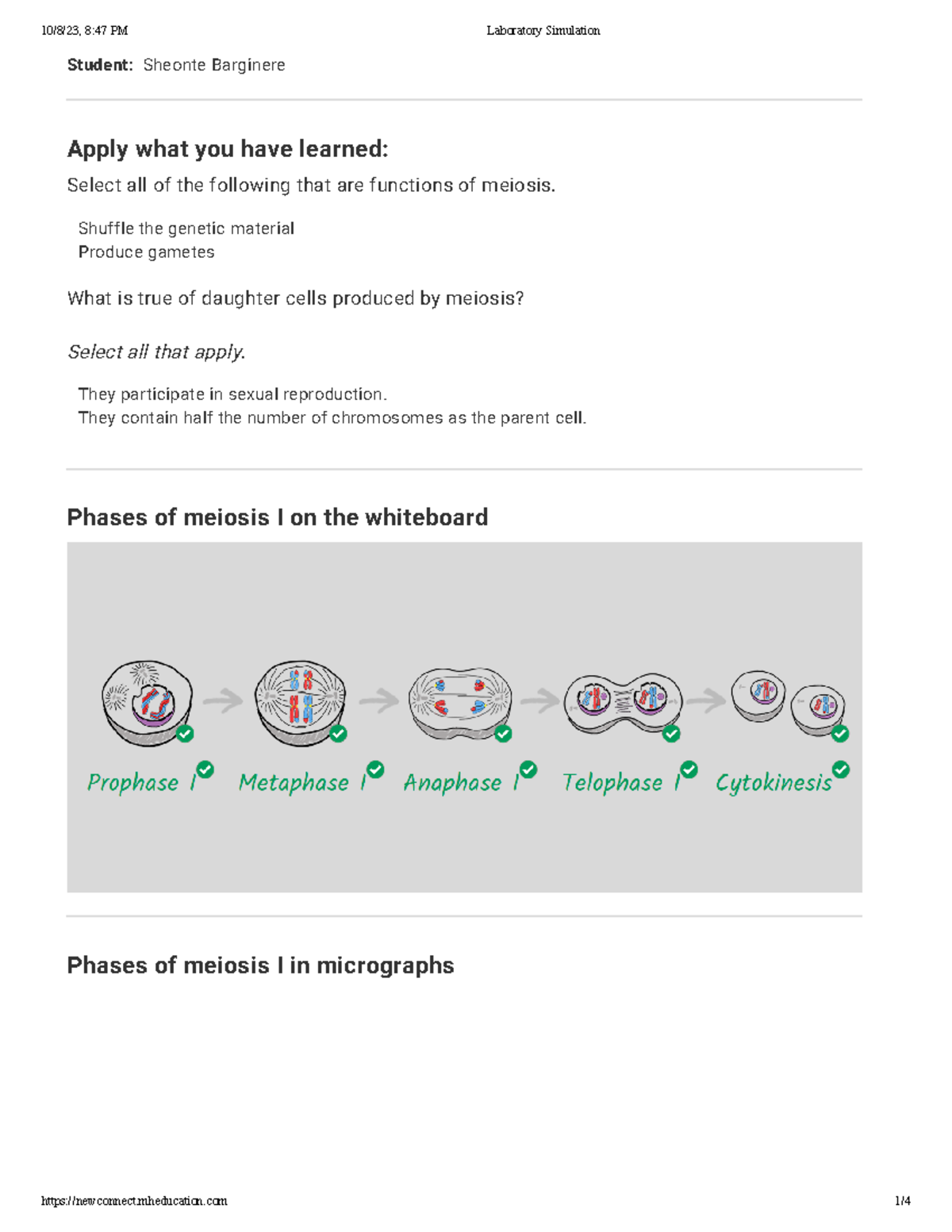 Cell Division - Examining Meiosis - Student: Sheonte Barginere Apply ...