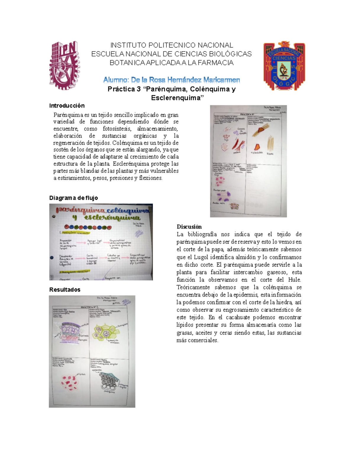 Practica 3. Tejidos Simples - INSTITUTO POLITECNICO NACIONAL ESCUELA ...