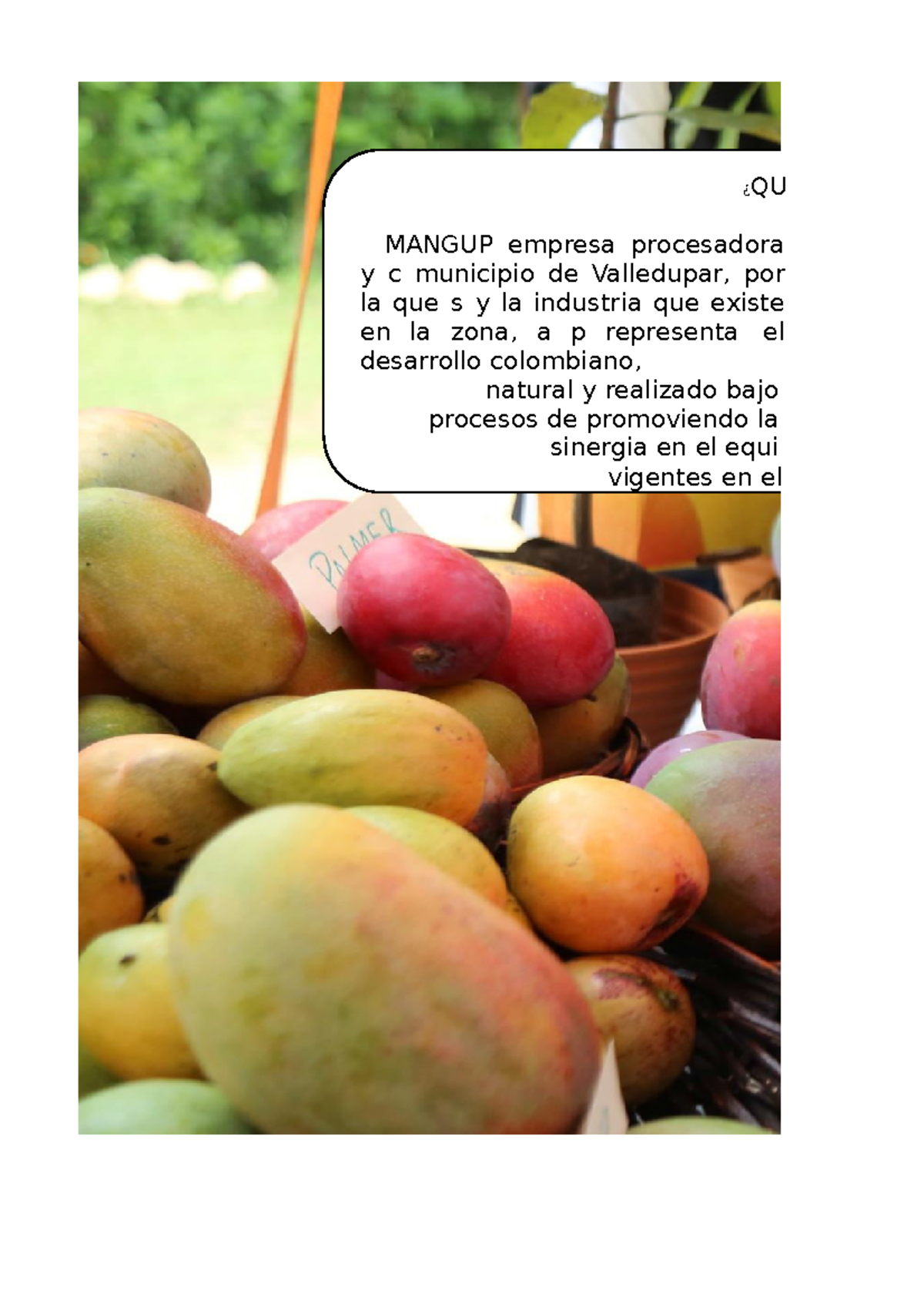 Proyecto Mangup - ¿QU MANGUP empresa procesadora y c municipio de ...
