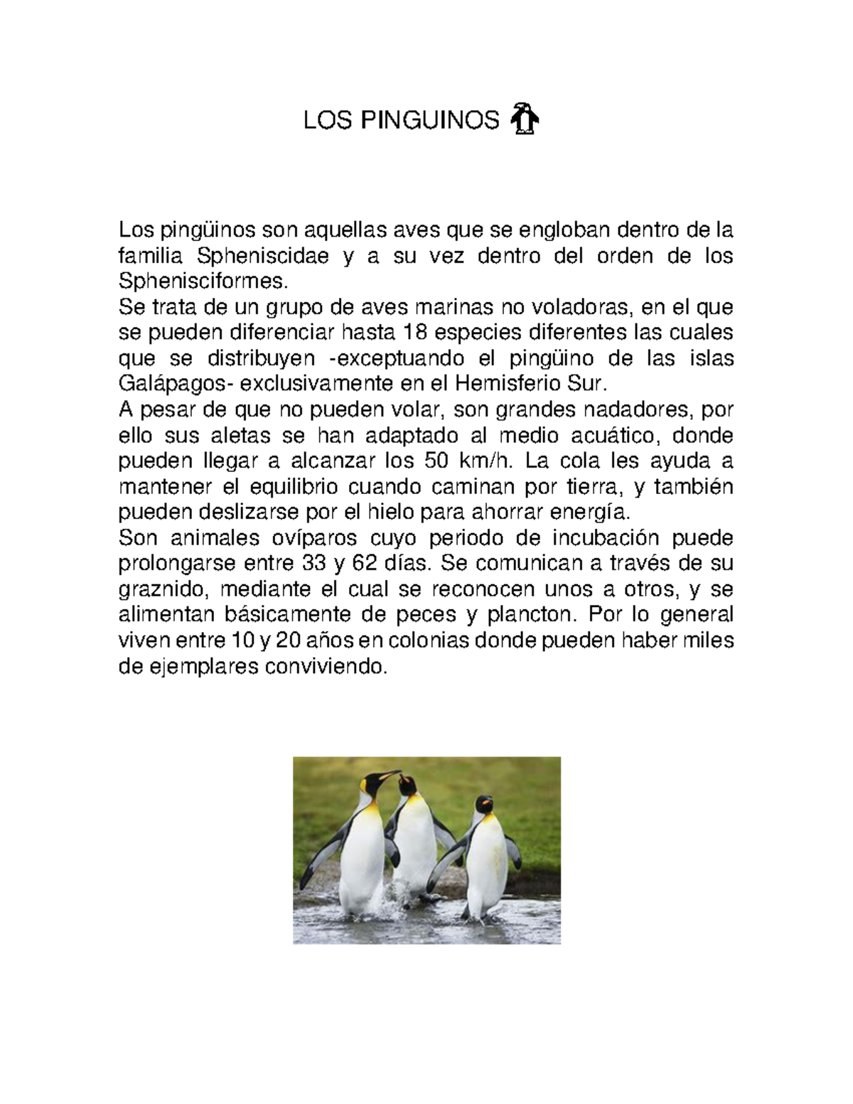 LOS Pinguinos 🐧 - LOS PINGUINOS 🐧 Los pingüinos son aquellas aves que ...