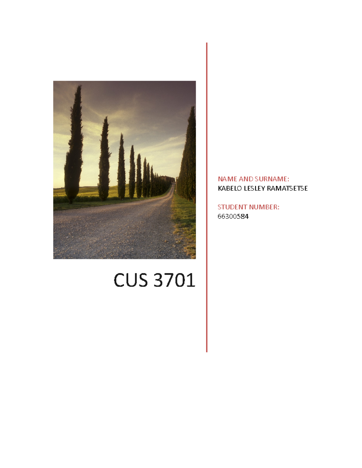 CUS 3701 - Portfolio - CUS 3701 NAME AND SURNAME: KABELO LESLEY ...