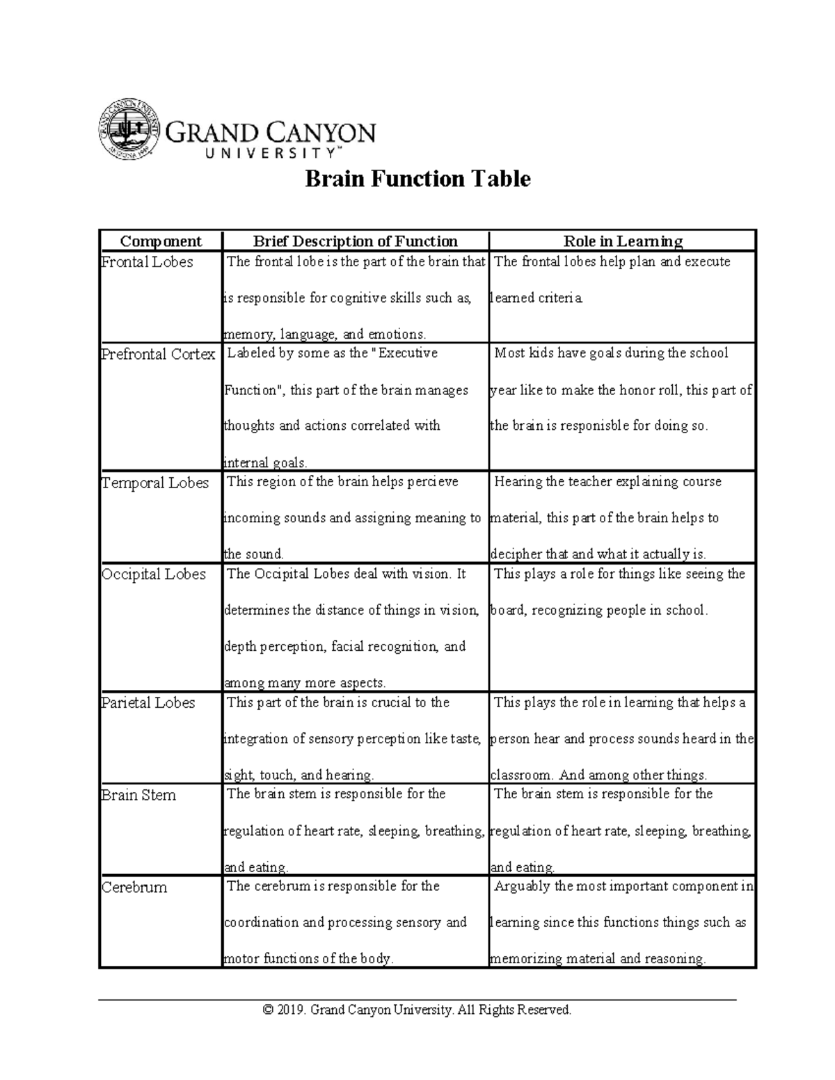 SEC-201-T2-RS-Brain Function Table - Brain Function Table Component ...