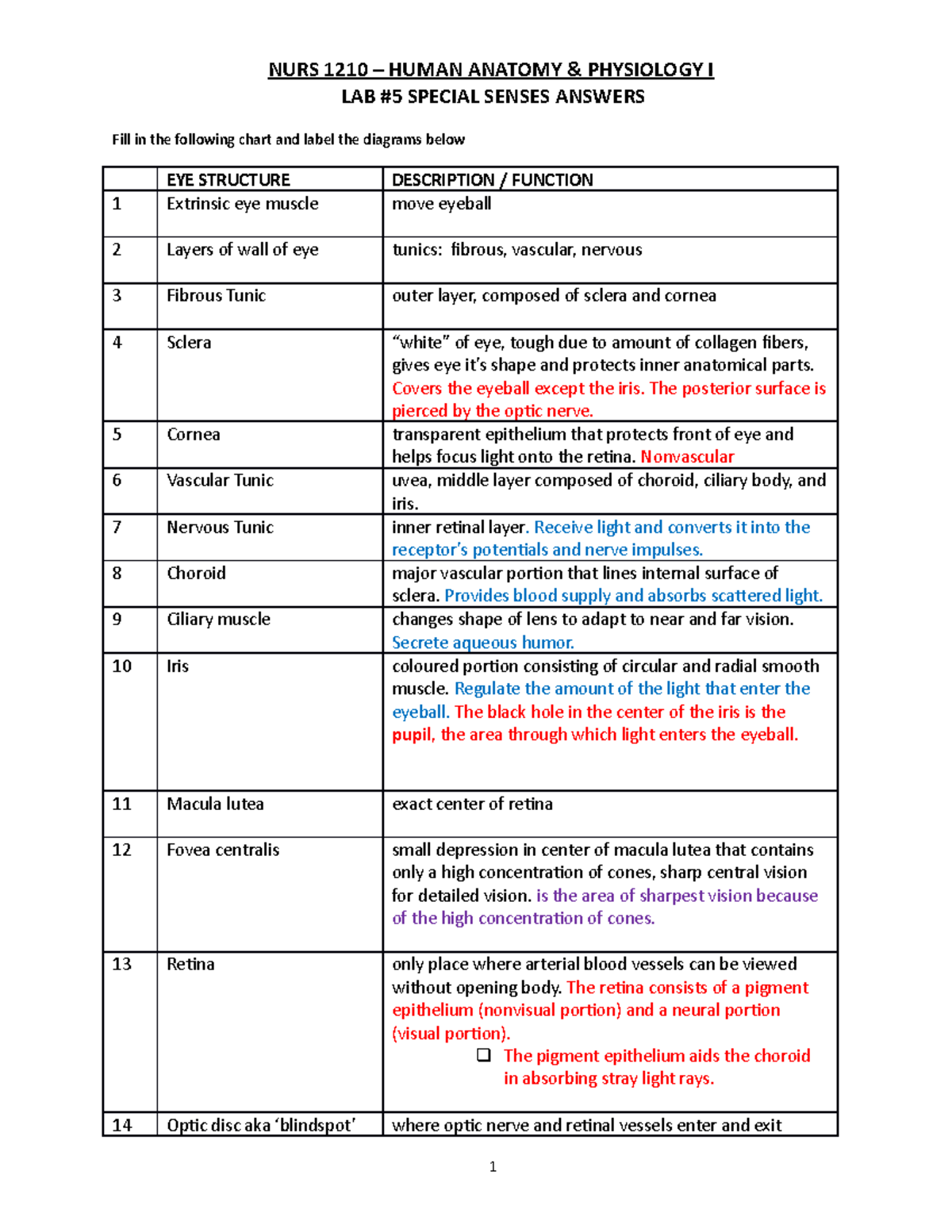 Special Senses - LAB #5 SPECIAL SENSES ANSWERS Fill in the following ...