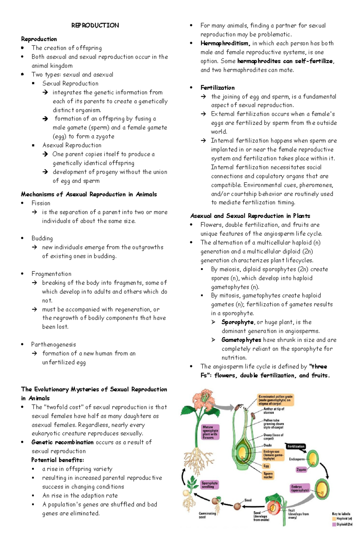 BIO Reviewer - notnt - REPRODUCTION Reproduction The creation of ...
