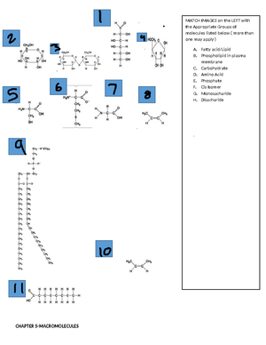 Chm101-03 - Notes - Conversion Factors Lab Worksheet Part A ...