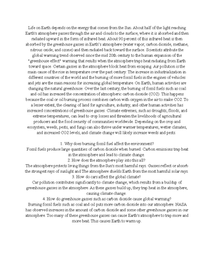 Illustrator 2021 D3 L1 Projects - 62 | Domain 3 Lesson 1: Create ...