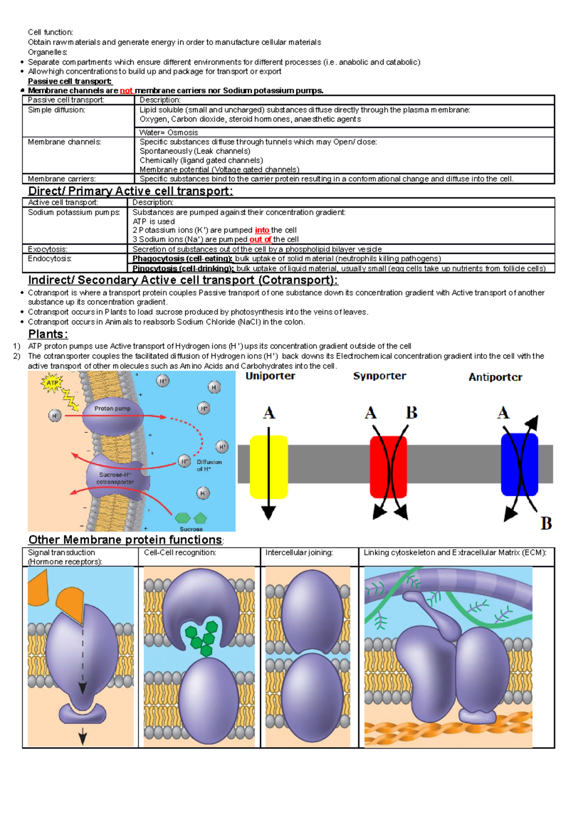 CELS 191 - Lecture 6 (How does a cell maintain its internal environment ...