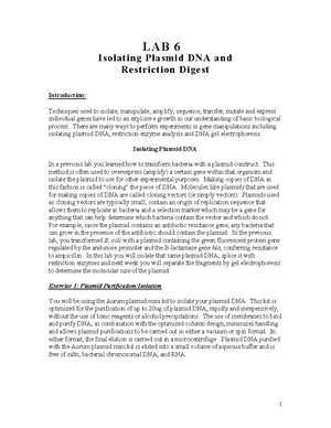 Bio lab - 7 - lab report - LAB 7 Agarose Gel Electrophoresis Introduction: Agarose gel - Studocu