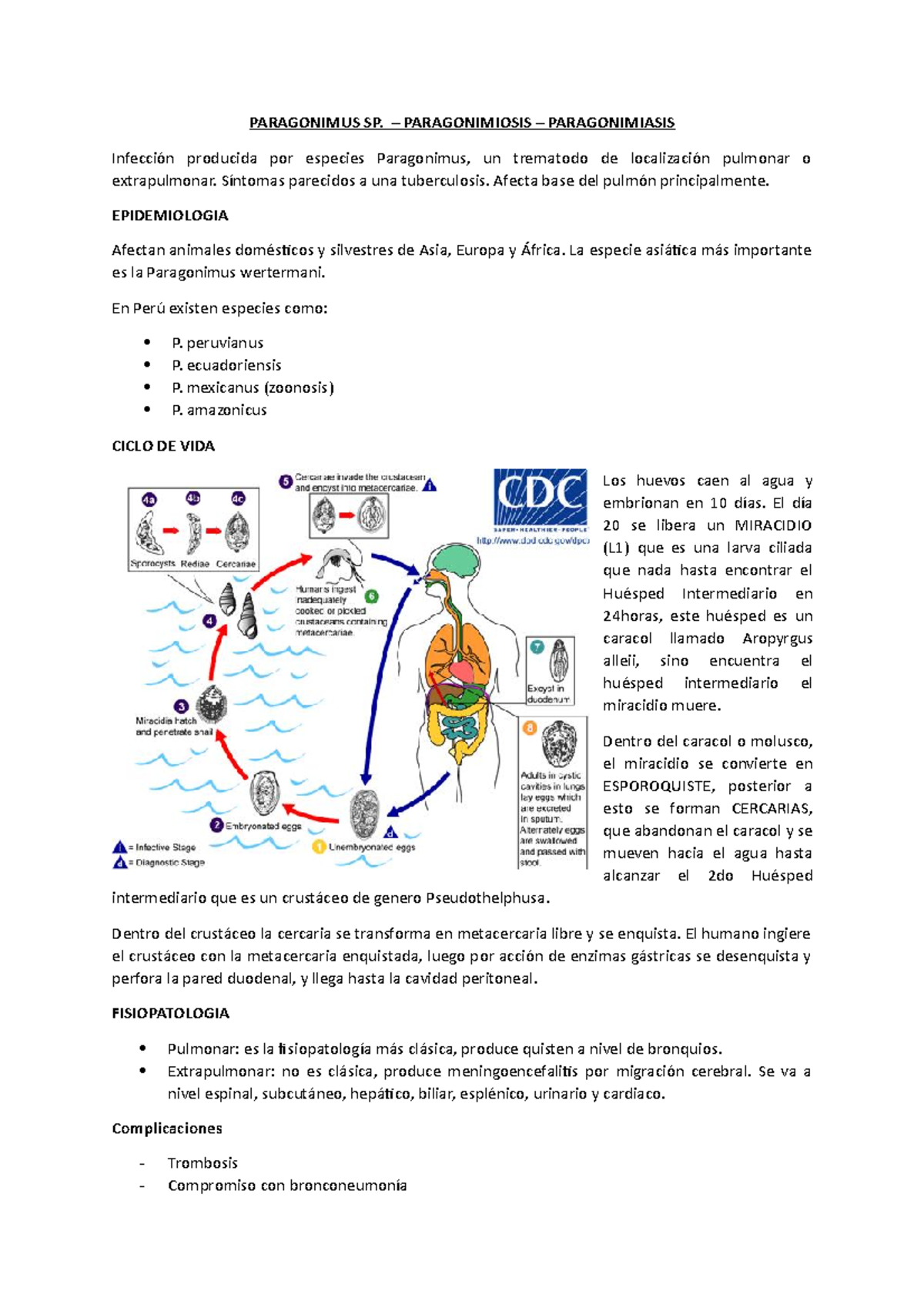 Paragonimus SP - Apuntes sobre paragonimosis - PARAGONIMUS SP ...