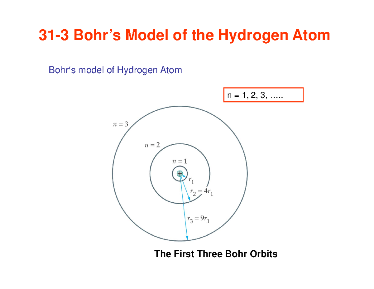 Bohr Atomic model - 31-3 Bohr’s Model of the Hydrogen Atom Bohr ′s ...