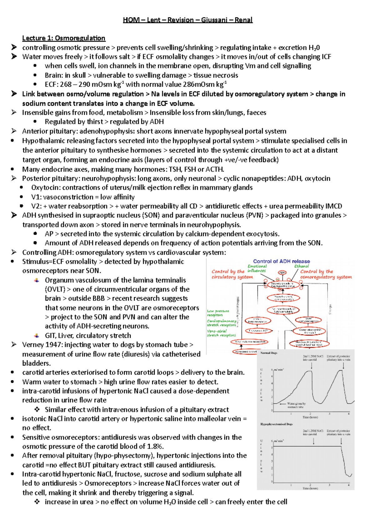 HOM – Lent – Revision – Giussani – Renal - HOM – Lent – Revision ... HOM – Lent – Revision – Giussani – Renal - HOM – Lent – Revision ...