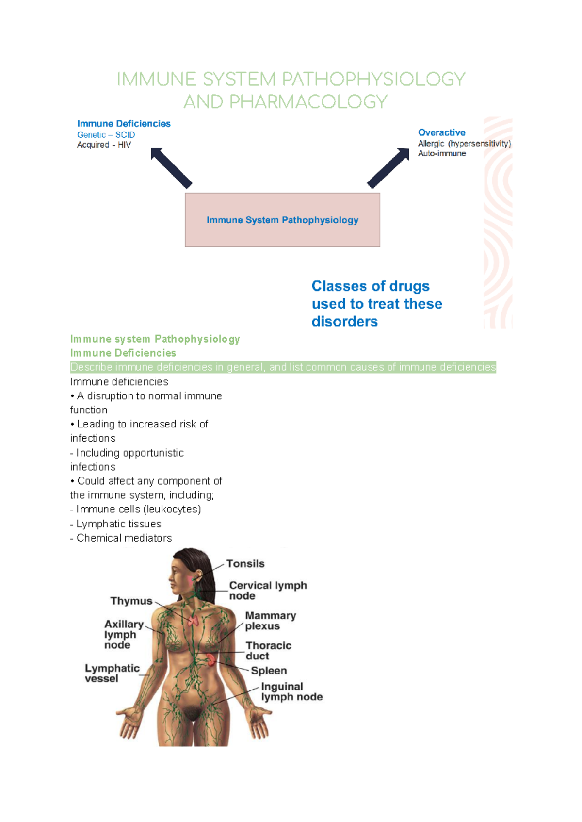 Immune System Pathophysiology ~ WEEK 5 - IMMUNE SYSTEM PATHOPHYSIOLOGY ...