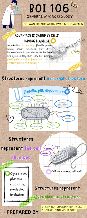 Practical 2 Aseptic Technique - BOI 106 GENERAL MICROBIOLOGY PRACTICAL ...
