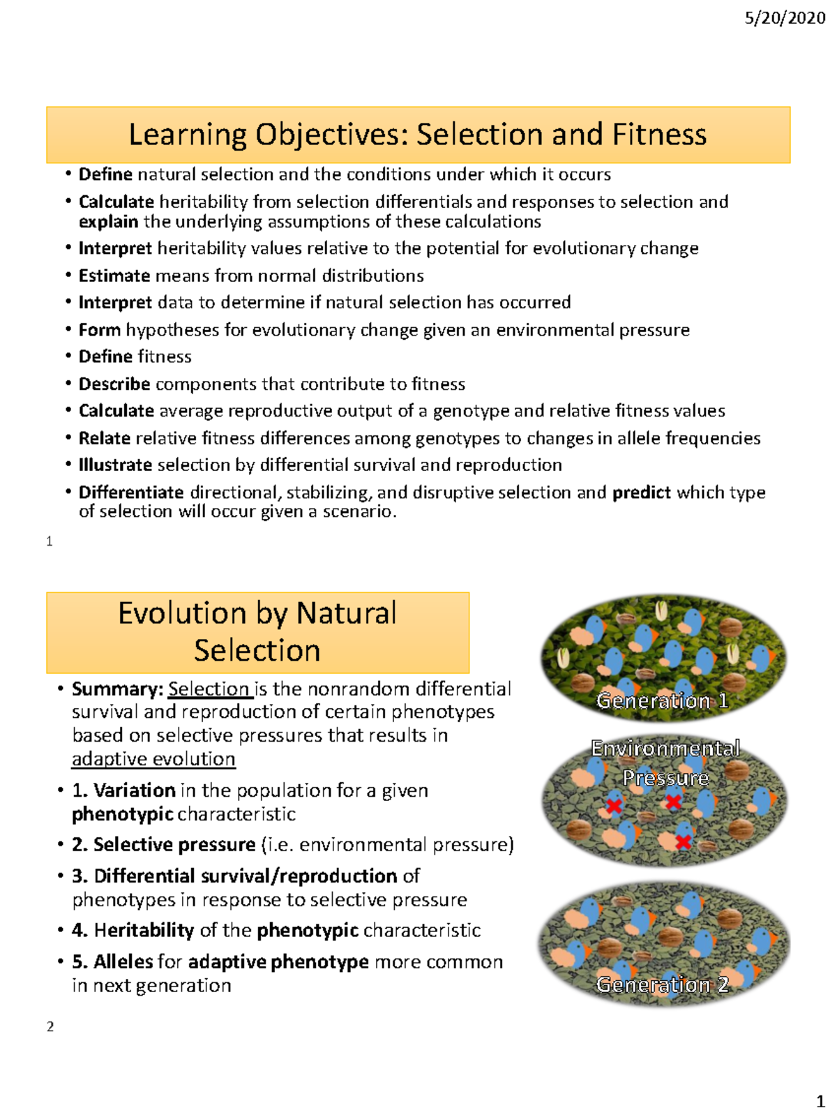 5. Selection and Fitness - Learning Objectives: Selection and Fitness ...