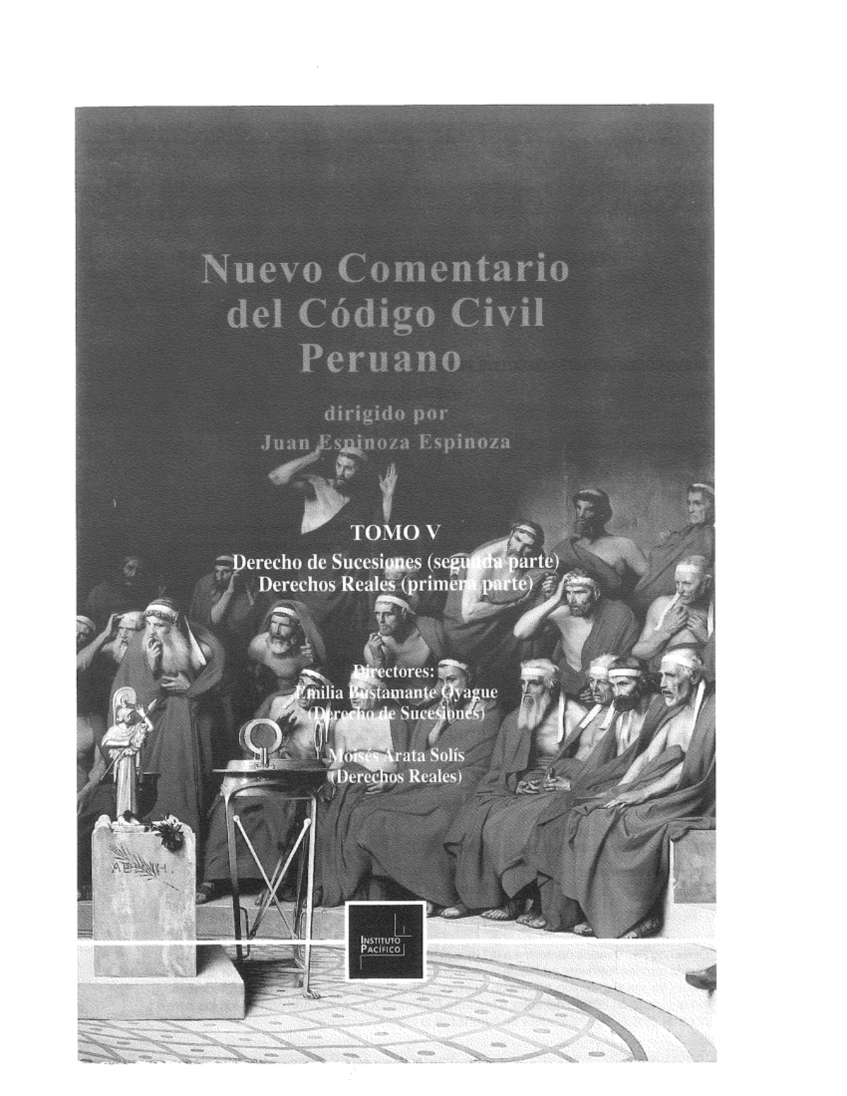 2022 Nuevo Comentario DEL CÓDIGO Civil Peruano TOMO V pdf - Nuevo ...