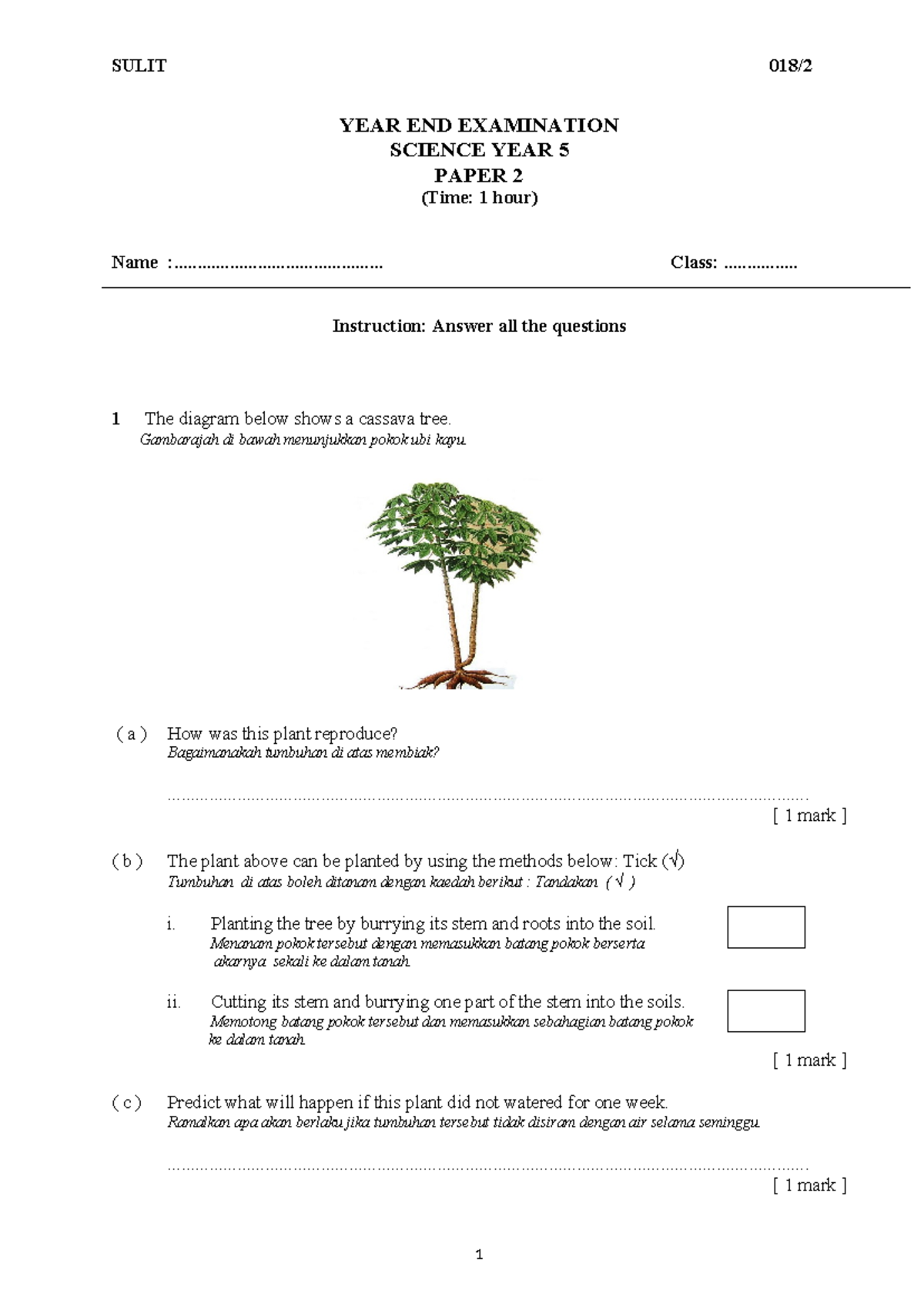 Paper 2 year end exam year 5 - YEAR END EXAMINATION SCIENCE YEAR 5 ...