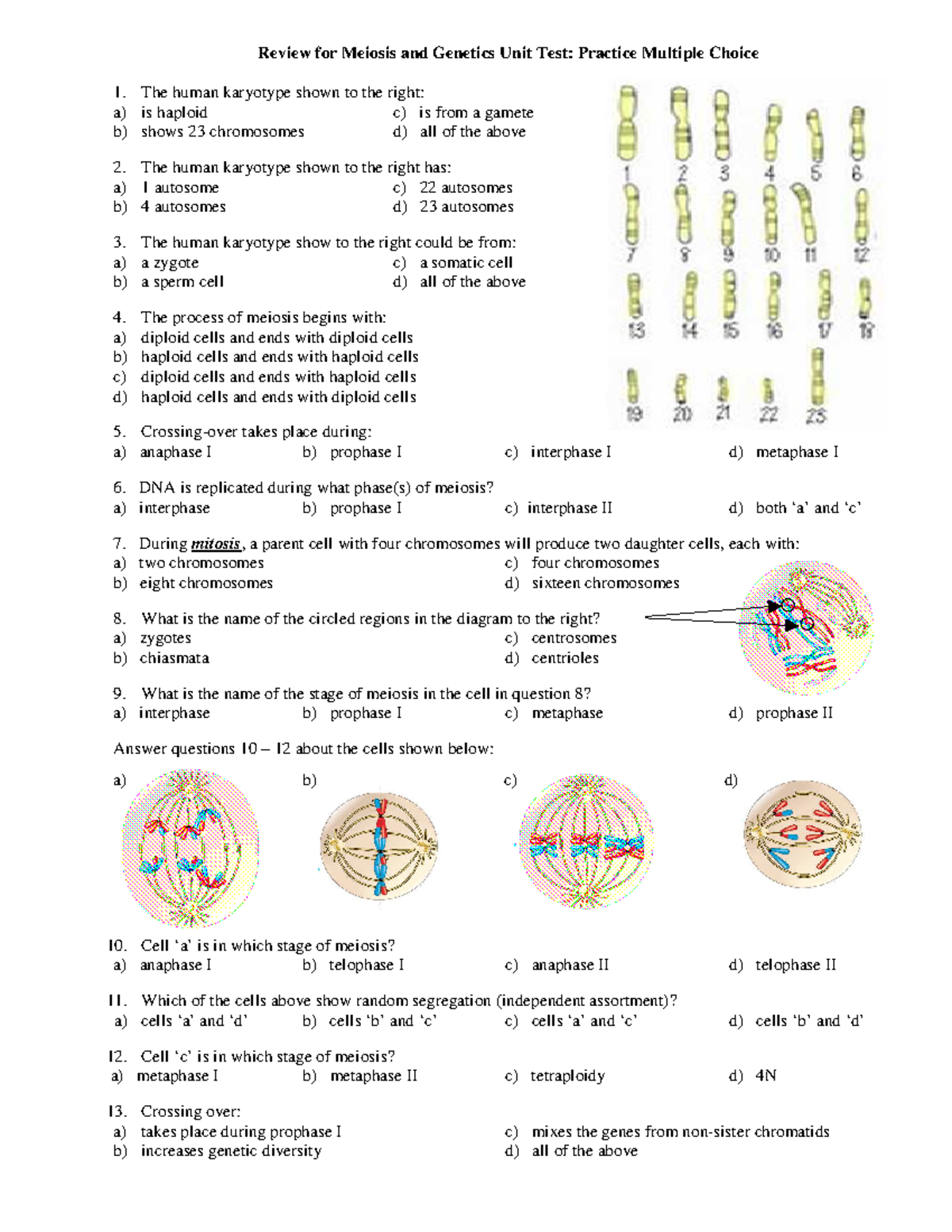 Review for unit test meiosis and genetics multiple choice - Review for ...