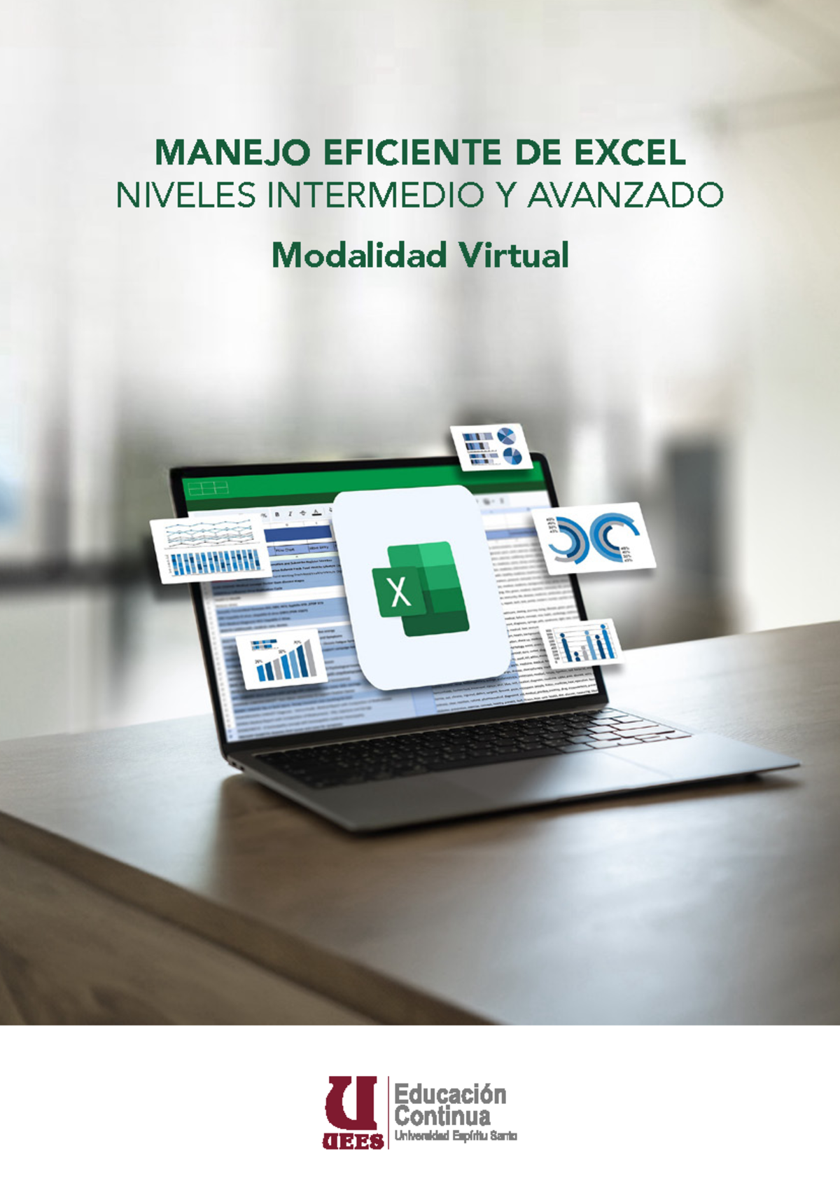 Contenido Manejo Eficiente de Excel Niveles Intermedio y Avanzado 10 ...