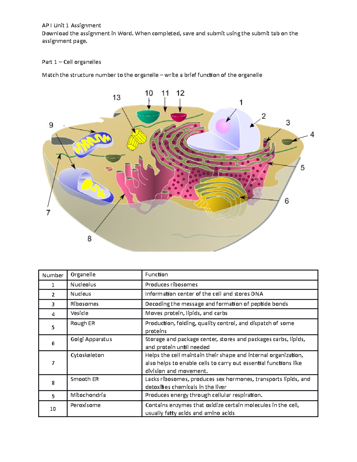 AP I Wk 1 Cell Organelles Carman Coker - AP I Unit 1 Assignment ...
