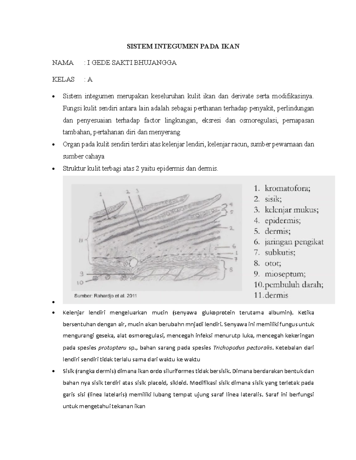 Sistem Integumen IKAN - SISTEM INTEGUMEN PADA IKAN NAMA : I GEDE SAKTI ...