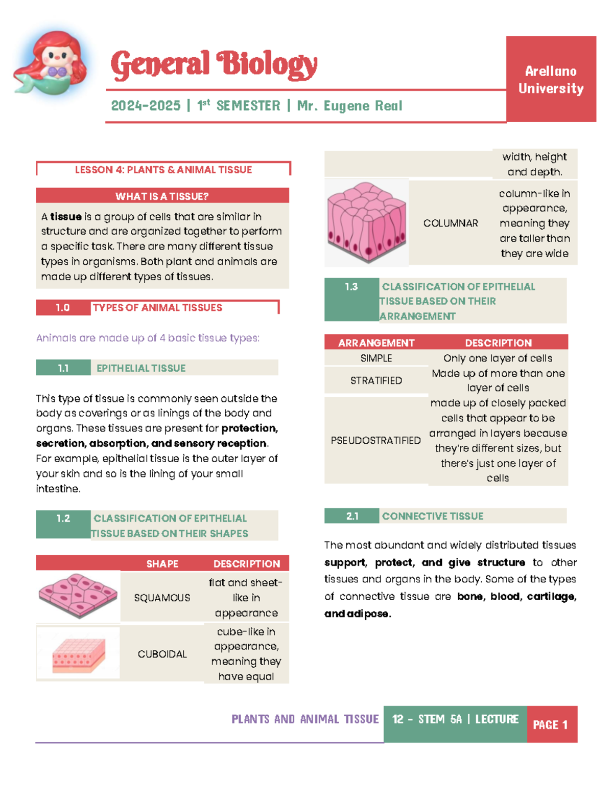 Lesson 4 Genbio - PLANTS AND ANIMAL TISSUE 12 – STEM 5A | LECTURE PAGE ...