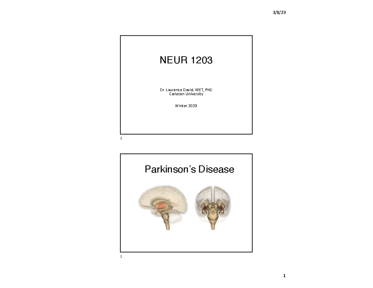 NEUR 1203 - Lecture 10 - NEUR 1203 Dr. Laurence David, MET, PhD ...