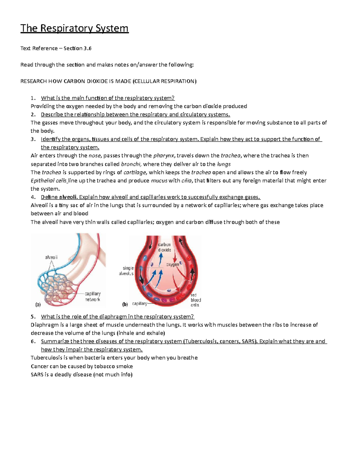 The Respiratory System - The Respiratory System Text Reference ...
