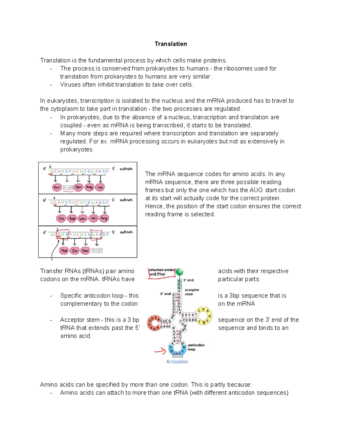 Cell Biology (BI203) Chapter 10 - Translation Translation is the ...